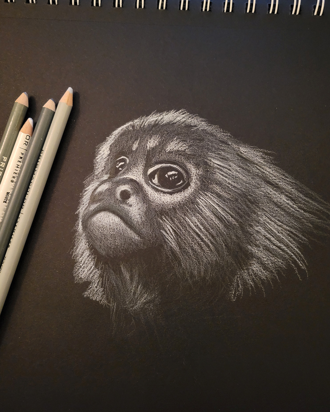 Gibbon Drawing – Jeff McCallister | Design Portfolio